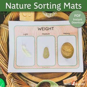 Sorting Mats for Kids | Classifying Nature Printables | Sorting Natural ...