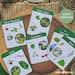 UK Plant Identification | British Plants | British Flora | Nature Study ...