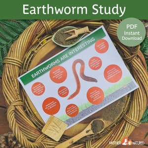 Earthworm Study Bundle | Earthworm Activities | Earth Worm Printables ...
