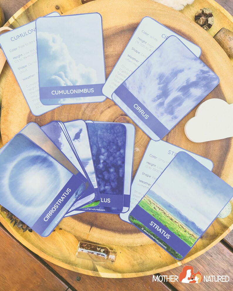 Cloud Identification Cards Types of Clouds Clouds | Etsy