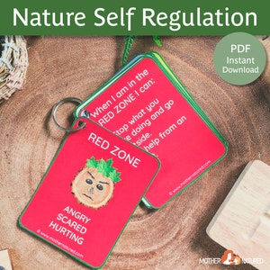 Self Regulation Cards| Emotional Regulation Cards | Self-regulation ...