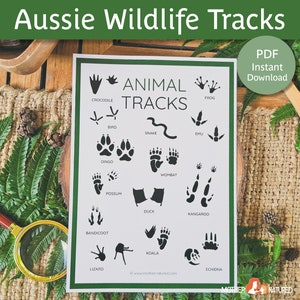 Australian Animal Tracks Guide | Animal Tracking for Kids | Australian ...