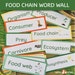 Food Chain Cards Food Web Cards Food Chain Explain Cards Food Web ...