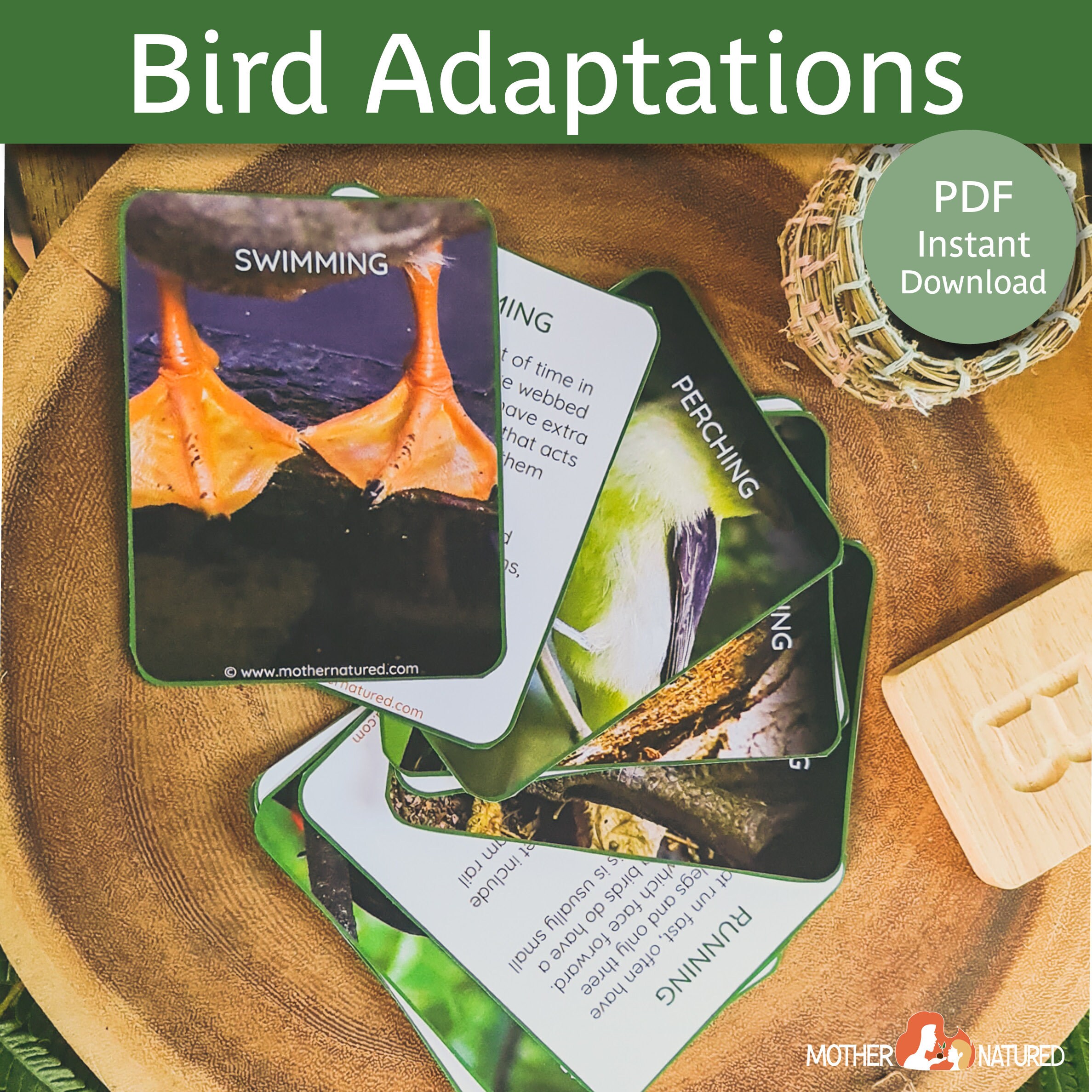 Bird Adaptation Cards Bird Beak Adaptation Cards Bird Foot Adaptation ...