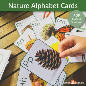 Alphabet Flash Cards | Preschool Alphabet Cards | Nature Alphabet Flash ...