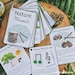 Outdoor Music Activities | Nature Music Activities | EYFS Music ...
