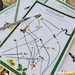 Food Web Activity Food Web Worksheet Food Web Draw the Arrows Food Web ...