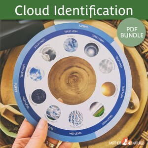 Cloud Viewer | Cloud Identification Viewer | Types of Clouds | Cloud ...