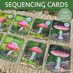 Life Cycle Sequencing Cards | Nature Sequence Activity | Wildlife ...