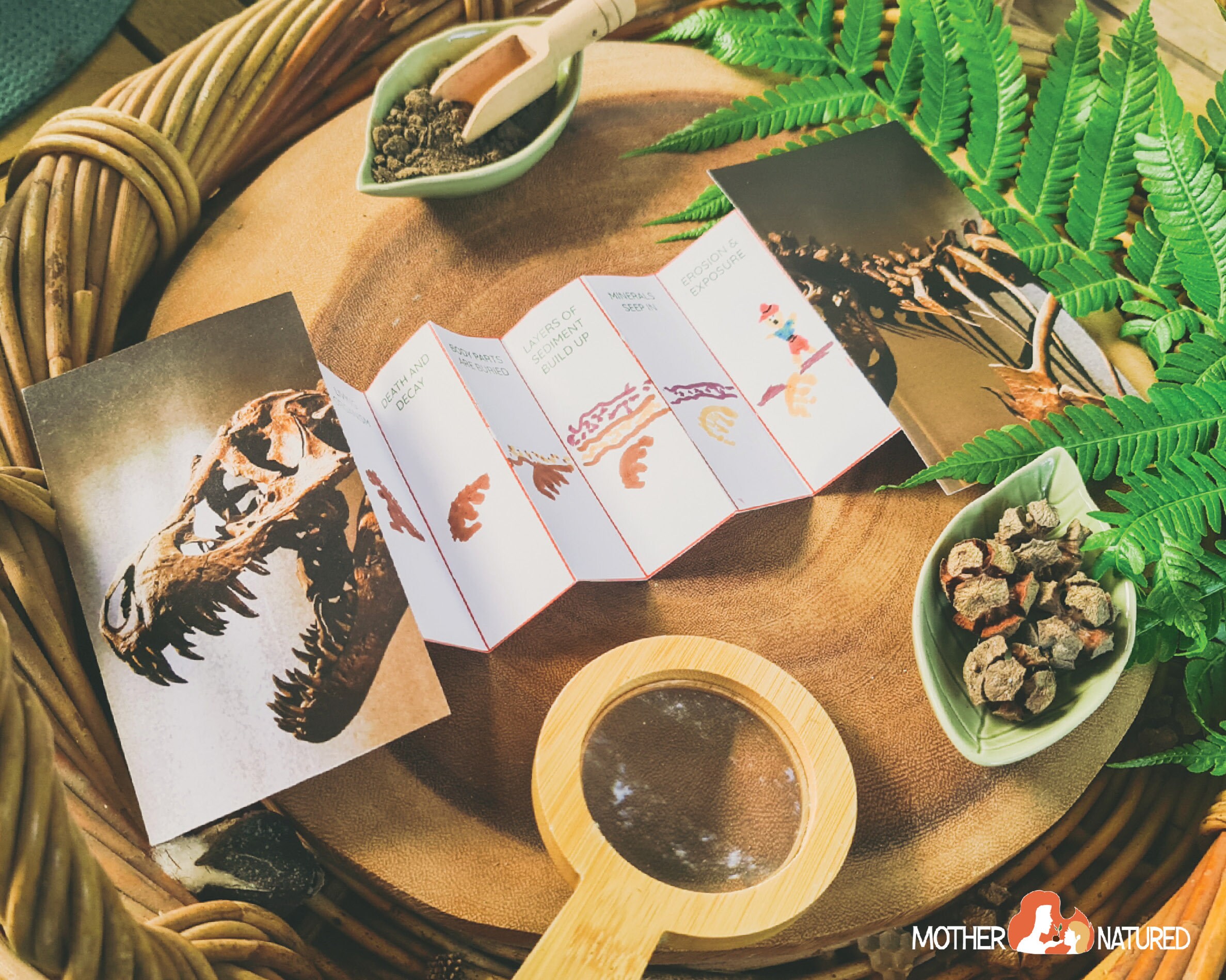 How Fossils Are Formed Accordion Craft FOSSIL CRAFT - Etsy