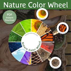 Nature Color Hunt | Nature Colour Activity | Nature Color Wheel ...