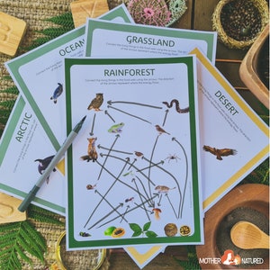 Food Web Activity | Food Web Worksheet | Food Web Draw the Arrows ...