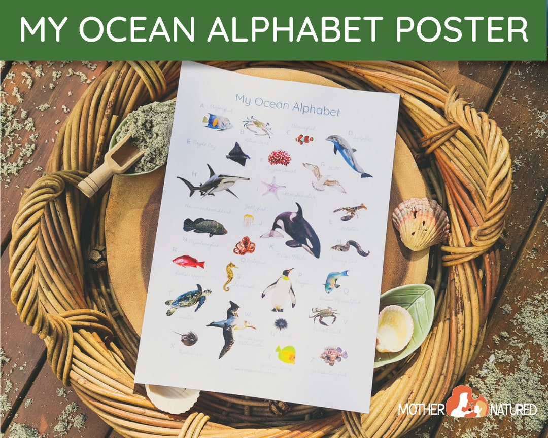 ALPHABET POSTER Ocean Poster Ocean Animal Poster - Etsy Australia
