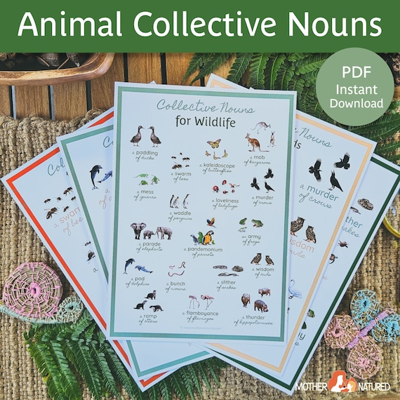 Collective Nouns Poster
