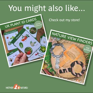 British Animal Tracks Guide | Animal Tracking for Kids | United Kingdom ...
