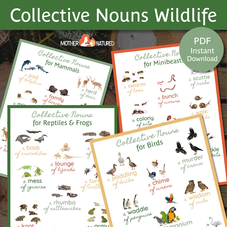 Collective Nouns for Animals | Collective Nouns Poster | Collective ...