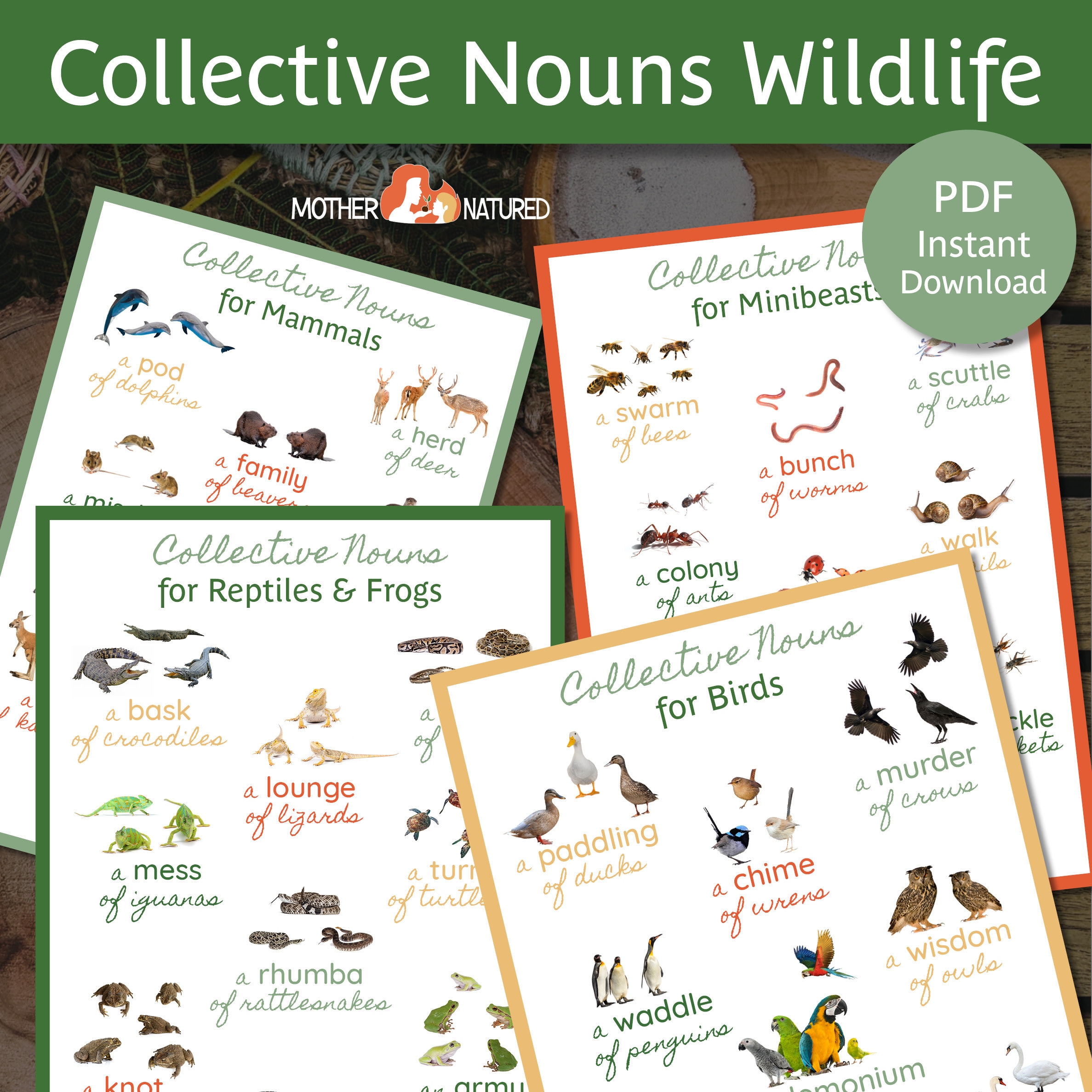 Collective Nouns for Animals Collective Nouns Poster Collective Nouns ...
