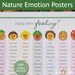 Nature Emotion Posters Feelings Posters Clam Corner Poster Montessori ...