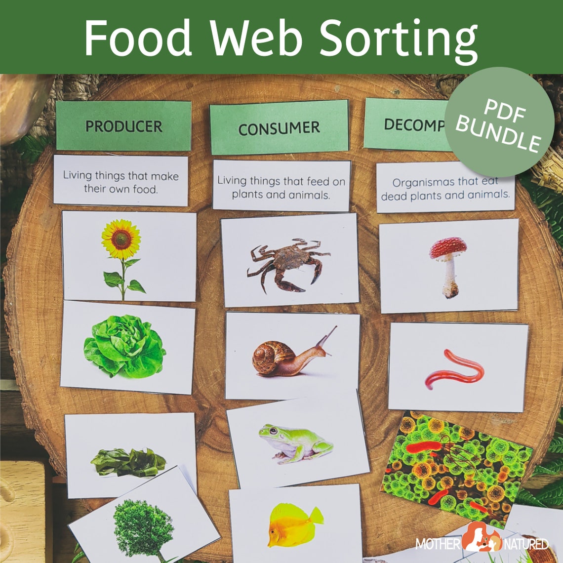 Food Chain Sorting Activity | Sort the Producers, Consumers and ...