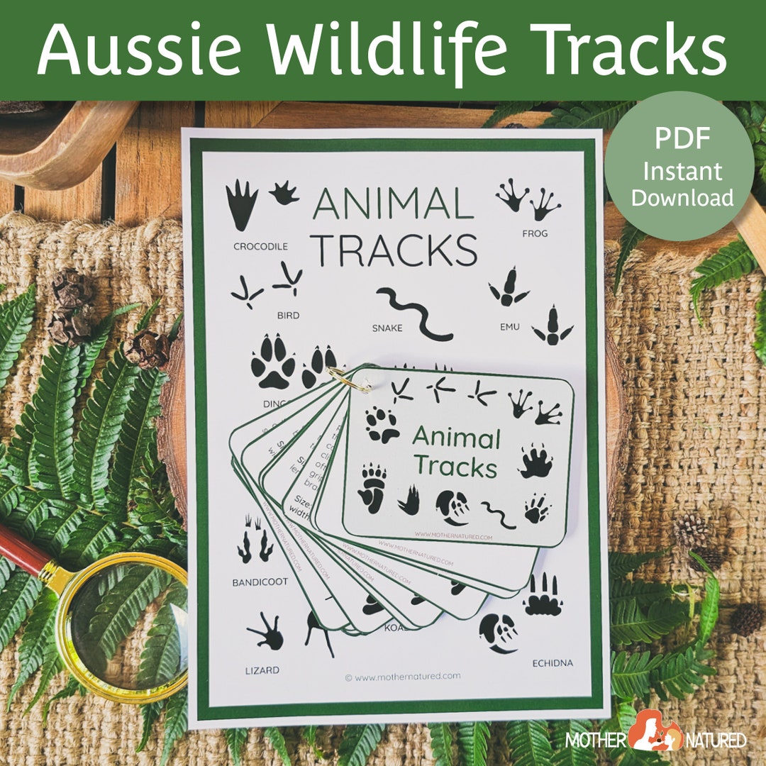Australian Animal Tracks Guide | Animal Tracking for Kids | Australian ...