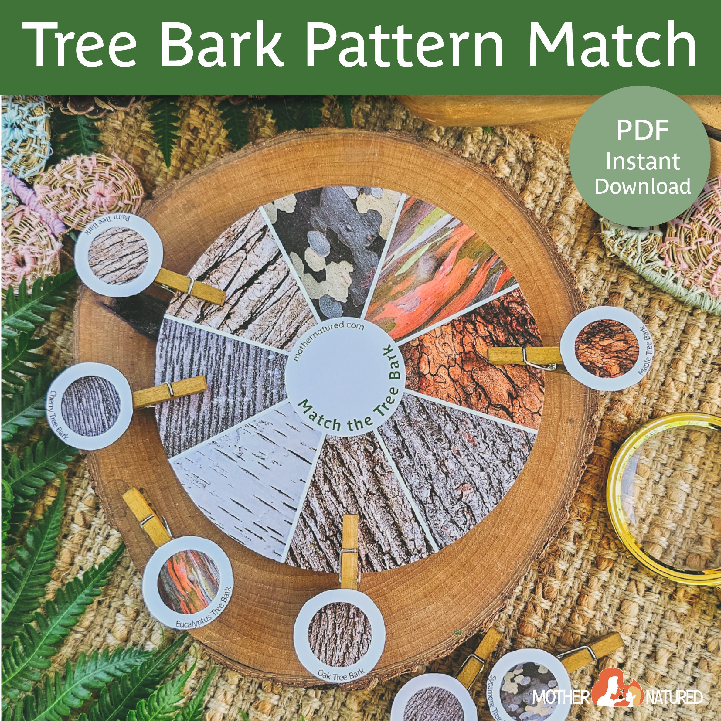 Tree Bark Matching Activity Bark Activity Tree Study Printable Tree ...