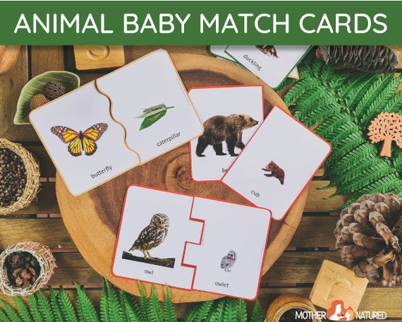 Baby Animal Match Cards Adult and Baby Animal Matching Cards - Etsy