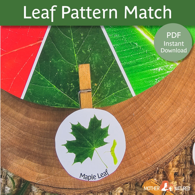 Leaf Matching Activity Leaf Pattern Activity Autumn Study Printable ...