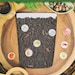 COMPOSTING Activity for Kids | Worm Compost Activity | Composting for ...