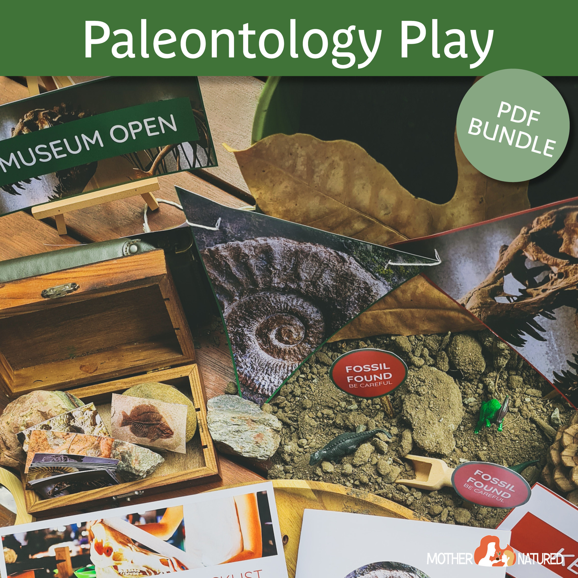 PALEONTOLOGY Play Printables | Museum Play Printables | Dinosaur Play ...