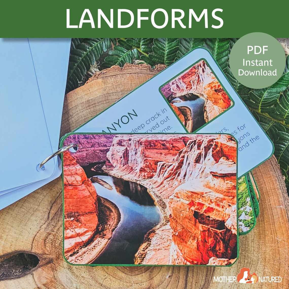 Landforms Booklet | Landforms Worksheet | Landforms Printable ...