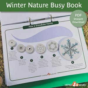 Winter Busy Book for Preschoolers | Winter Nature Busy Book | Winter ...