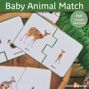 Baby Animal Match Cards | Adult and Baby Animal Matching Cards ...