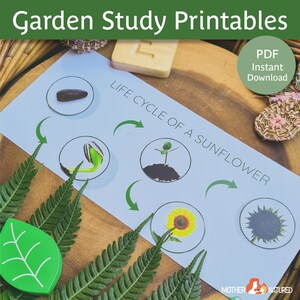 Garden Activity Printables for Kids | Garden Resources | Gardening With ...