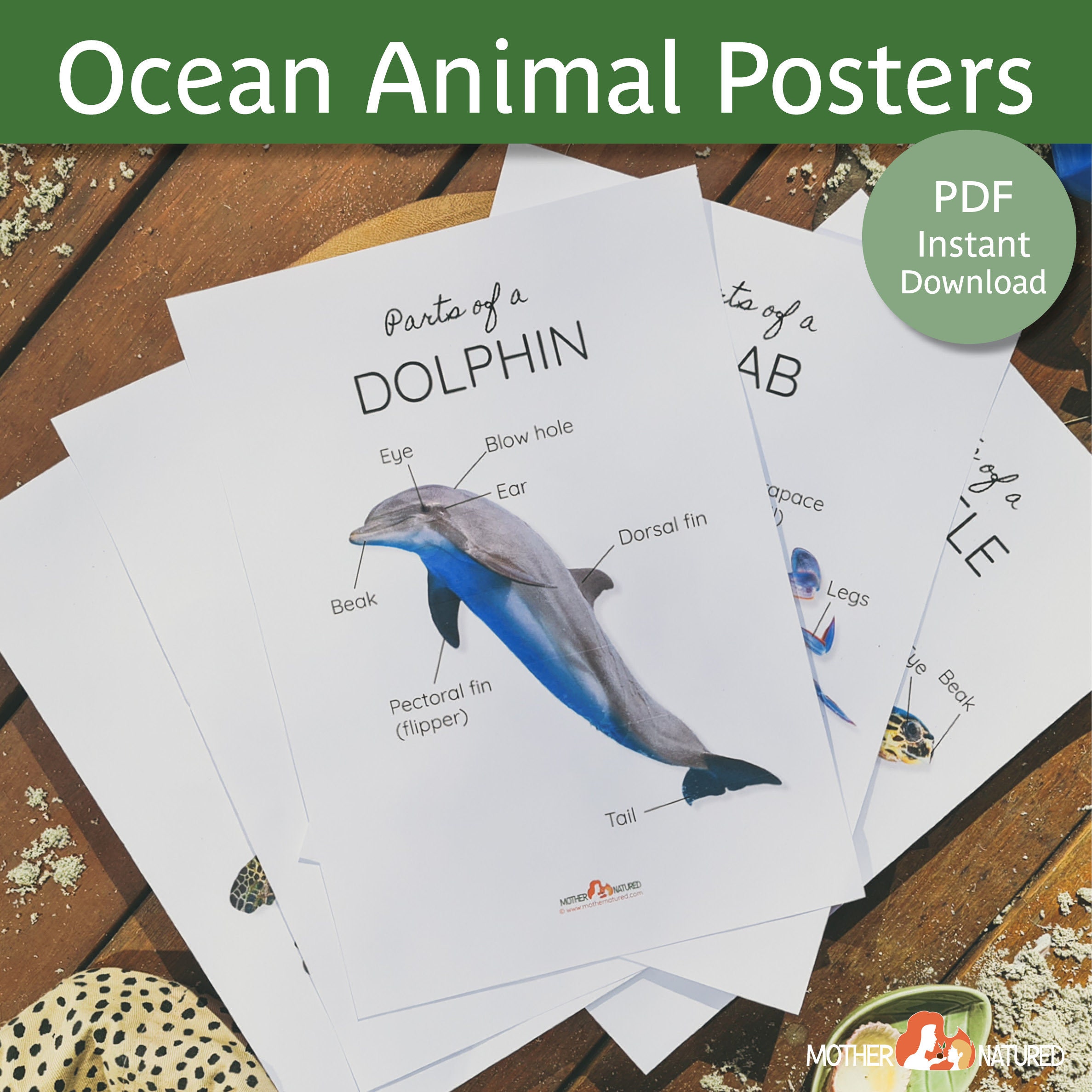Ocean Animal Posters Marine Animal Posters Parts of Posters Under the ...