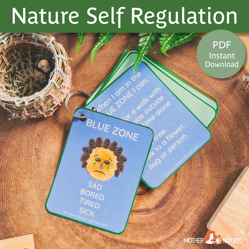 Self Regulation Cards Emotional Regulation Cards Self-regulation Zone ...