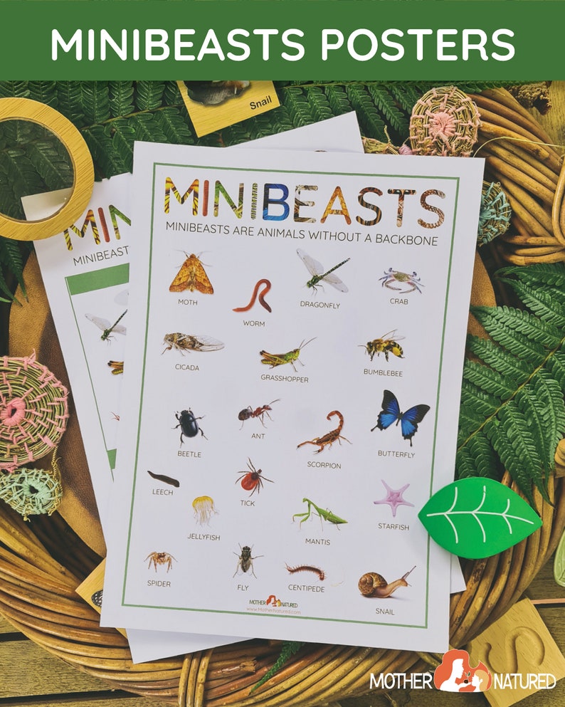 Types of Minibeasts Posters Minibeast Posters Minibeast - Etsy