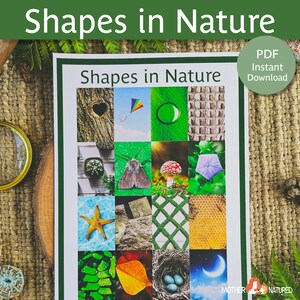 Nature Shapes Poster and Cards | Nature Shapes Preschool | Nature ...