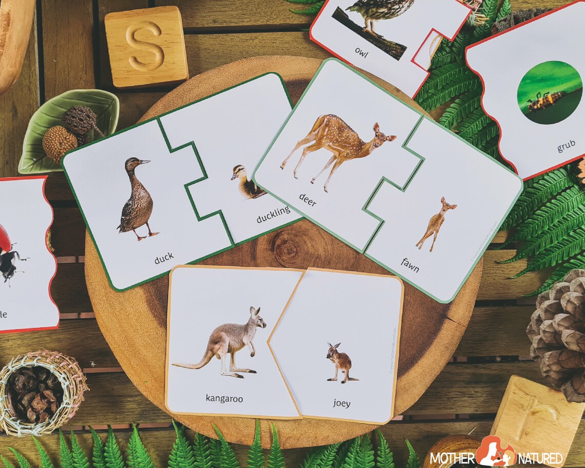 Baby Animal Match Cards Adult and Baby Animal Matching Cards - Etsy