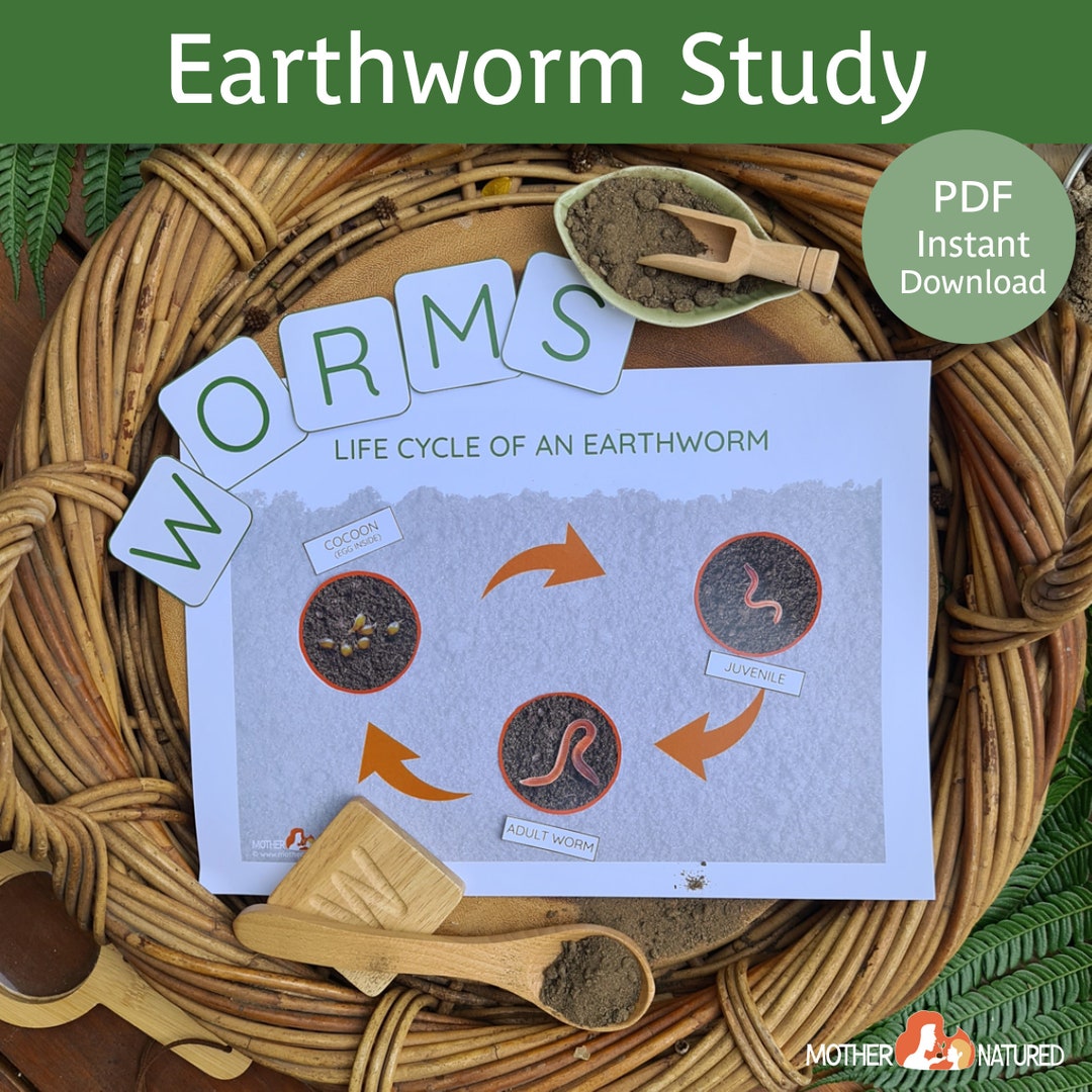 Earthworm Study Bundle | Earthworm Activities | Earth Worm Printables ...
