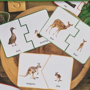 Baby Animal Match Cards | Adult and Baby Animal Matching Cards ...