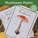 Mushroom Anatomy Poster and Activity Parts of a Mushroom - Etsy