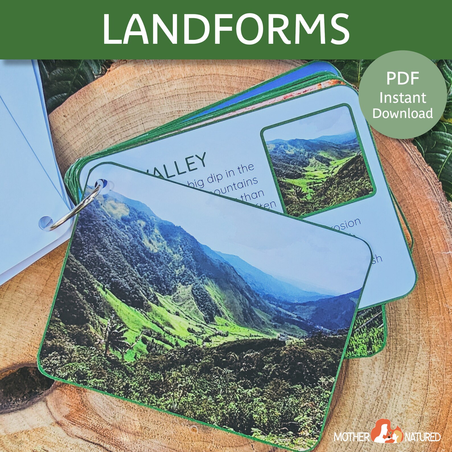 Landforms Booklet | Landforms Worksheet | Landforms Printable ...