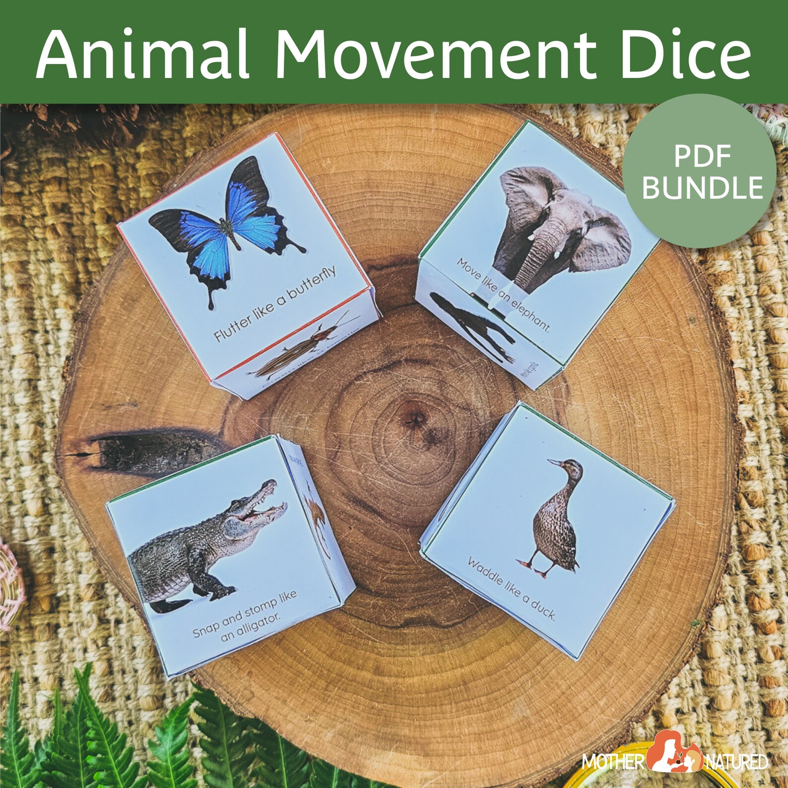 Animal Movement Activity | Animal Classification Activity | Animal ...