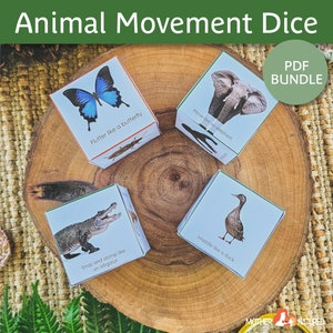 Animal Movement Activity | Animal Classification Activity | Animal ...
