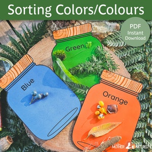 Sorting Color Activity | Sorting Colour Activity | Colour Recognition ...