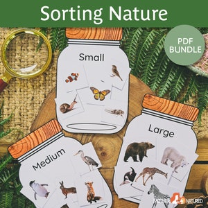 Animal Sorting Activity | Nature Sorting Activity | Outdoor Math ...