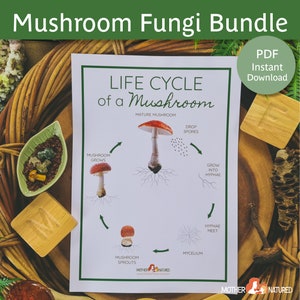 Fungi Study Bundle | Mushroom Study Bundle | Fungi Printables ...
