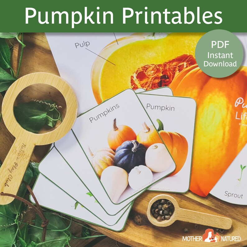 Pumpkin Printable | Pumpkin Activities for Kids | Pumpkin Life Cycle ...