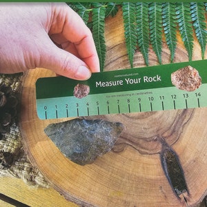 Measure Nature Rulers Outdoor Play Printables Nature Math - Etsy Australia