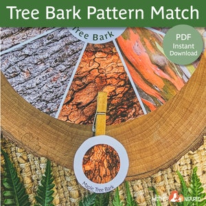 Tree Bark Matching Activity | Bark Activity | Tree Study Printable ...